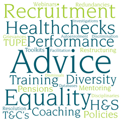 ROOTS HR - human resources services for the social sector